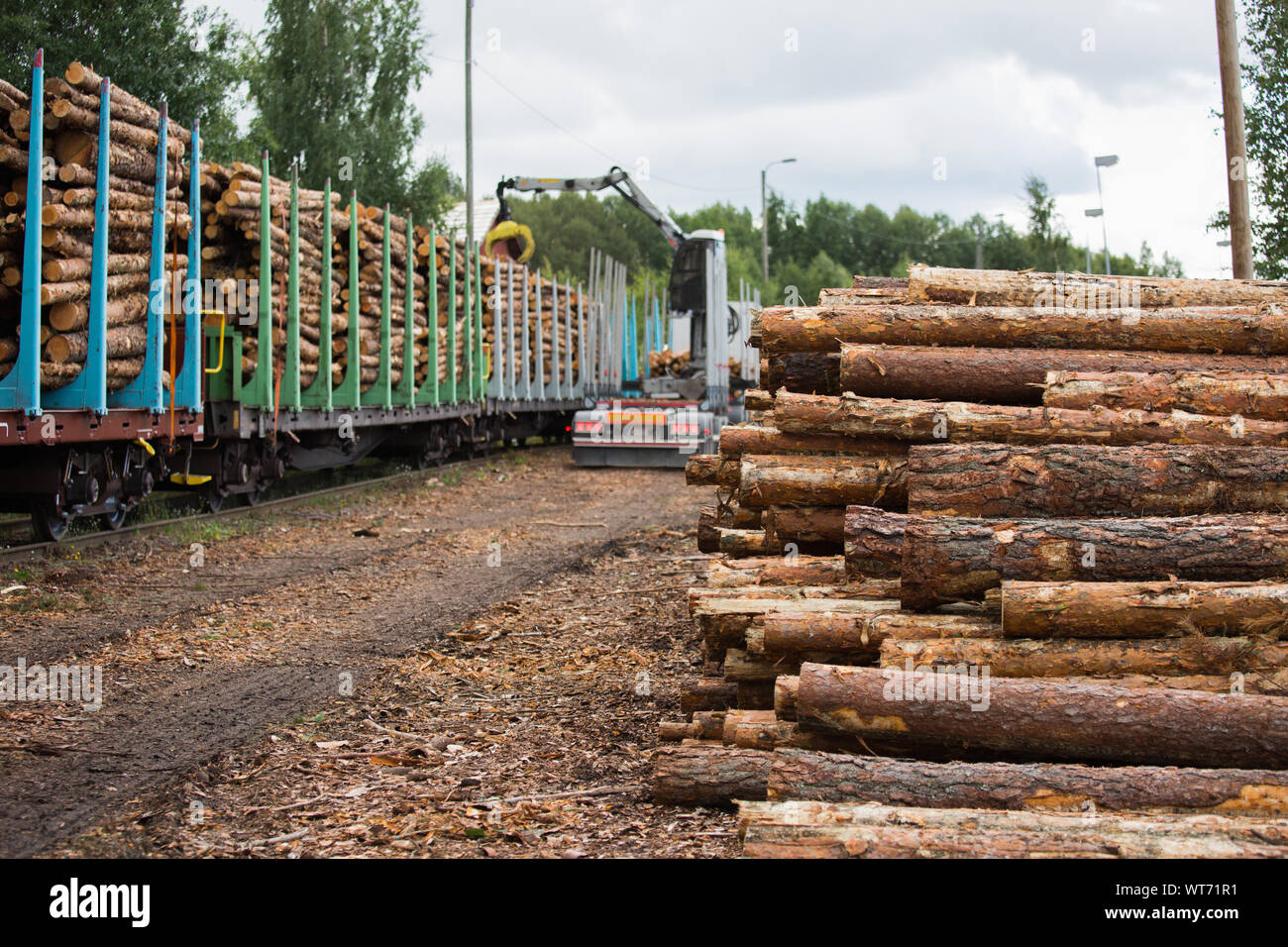 Loading of timber. Loader in work Stock Photo - Alamy