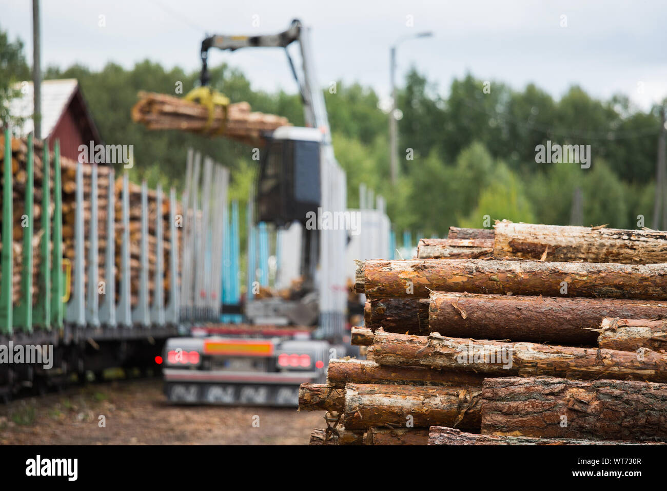 Loading of timber. Loader in work Stock Photo - Alamy
