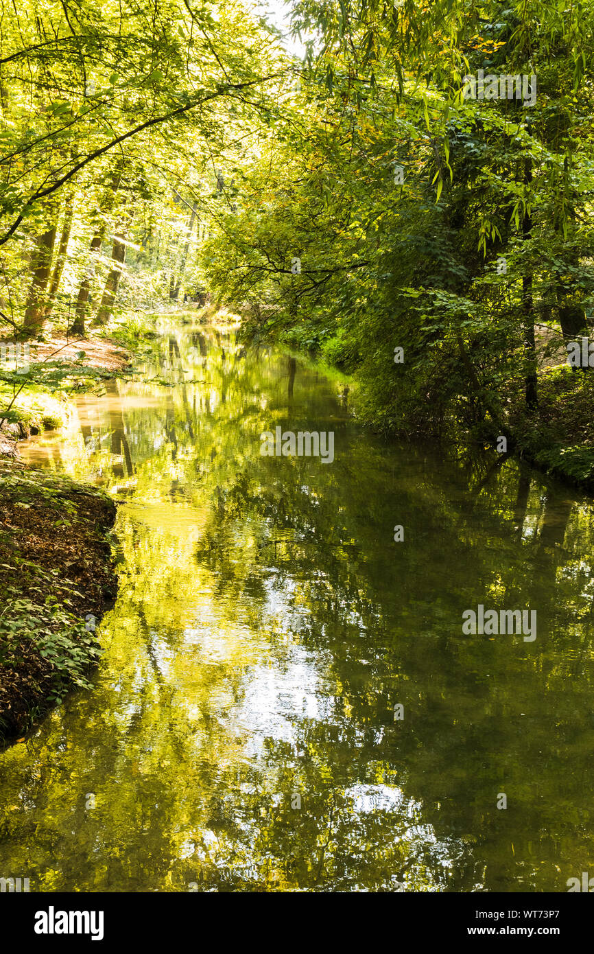 A water channel through forest in autumn Stock Photo - Alamy