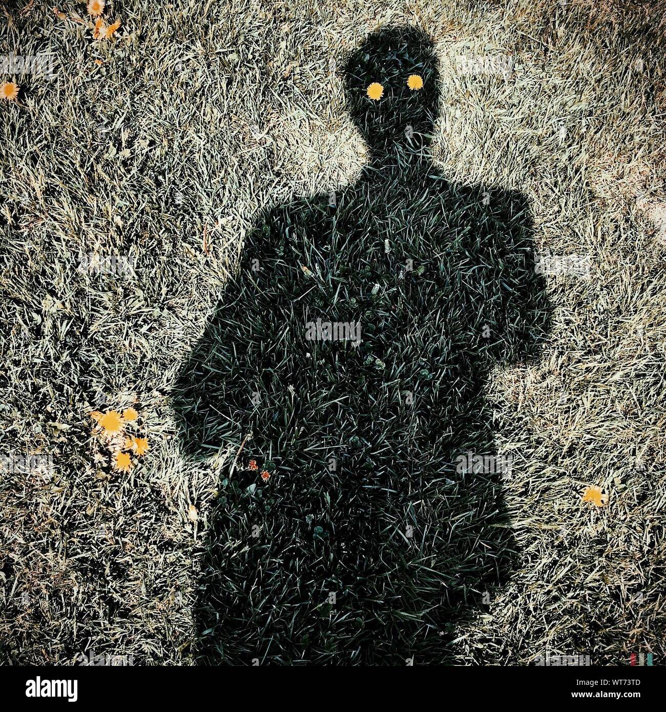 Man shadow grass hi-res stock photography and images - Alamy