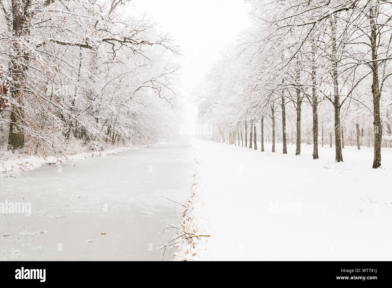 Through snowy forest hi-res stock photography and images - Alamy