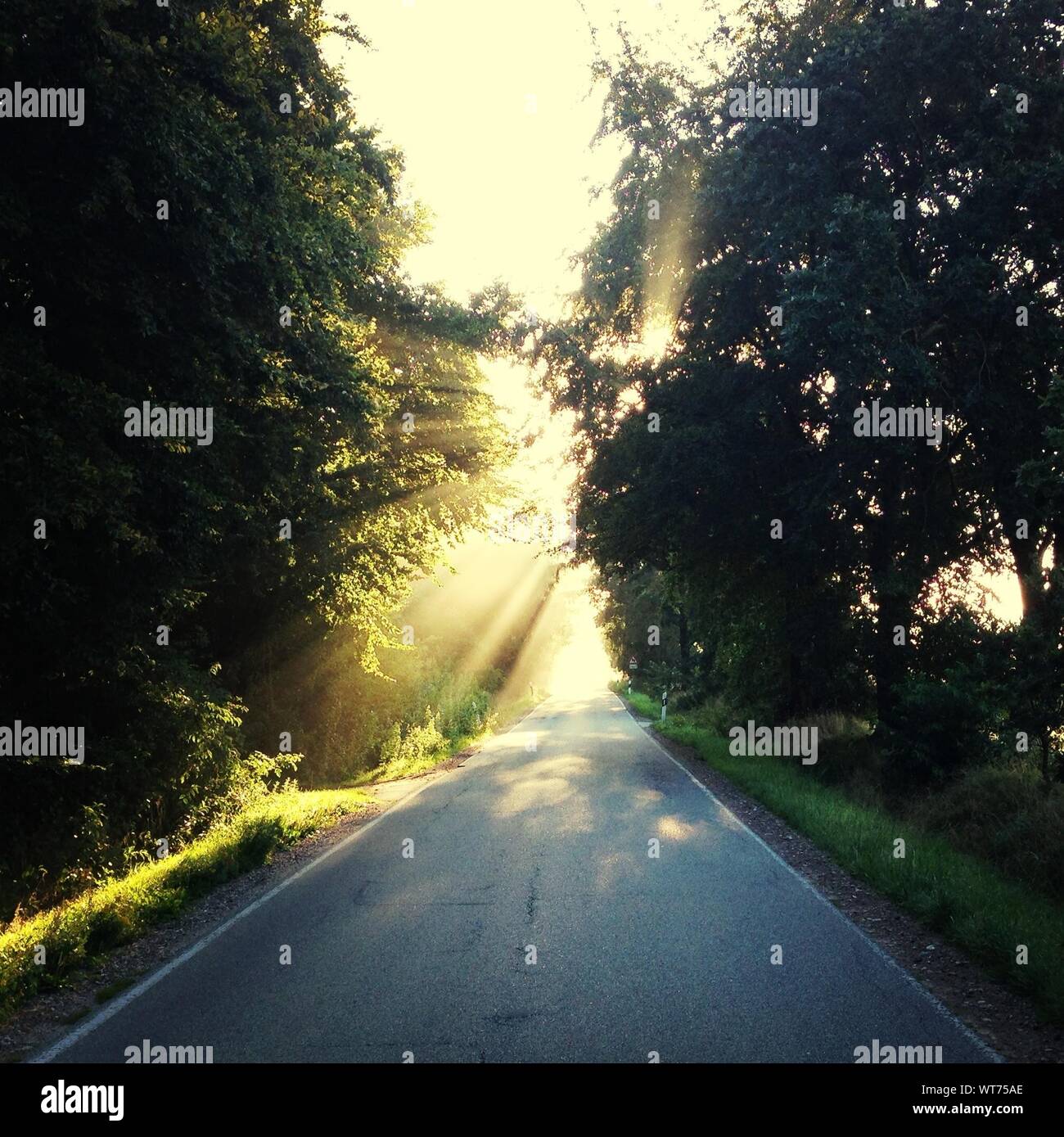 Empty country hi-res stock photography and images - Alamy