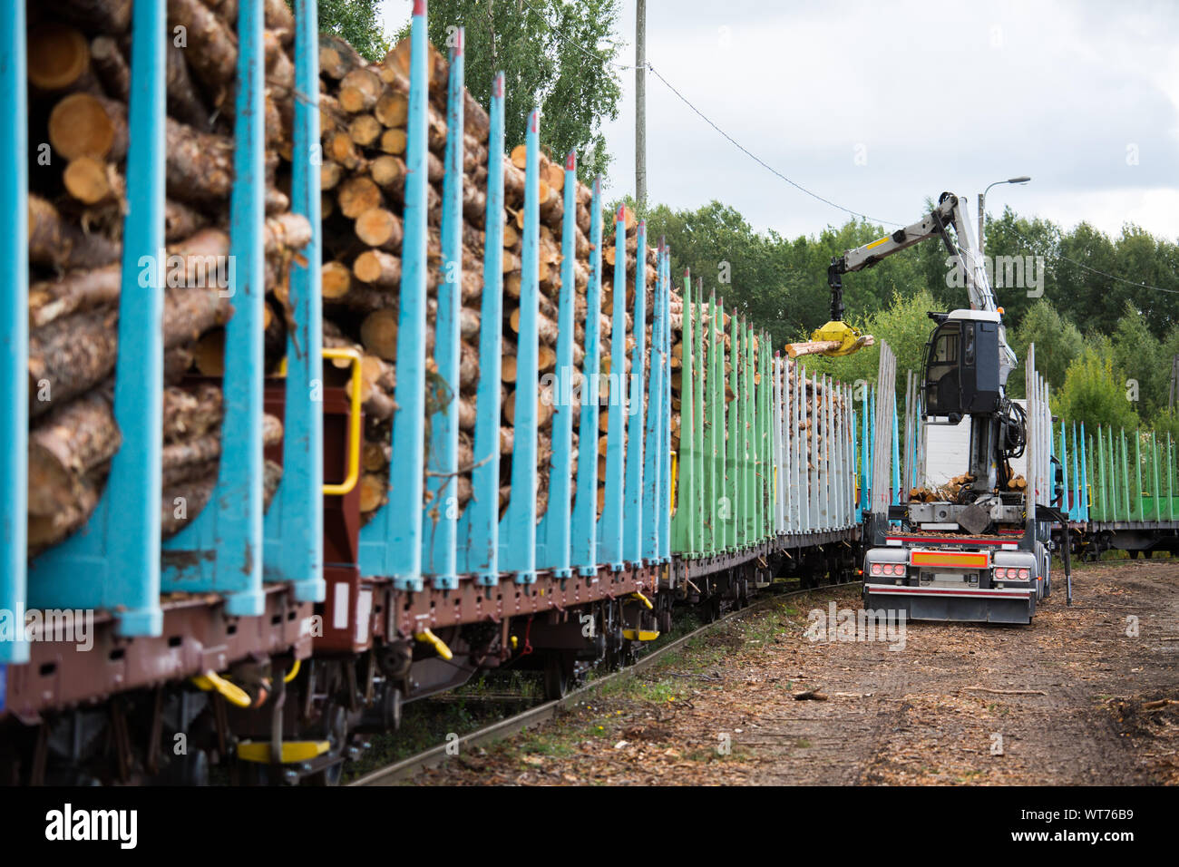 Loading of timber. Loader in work Stock Photo - Alamy