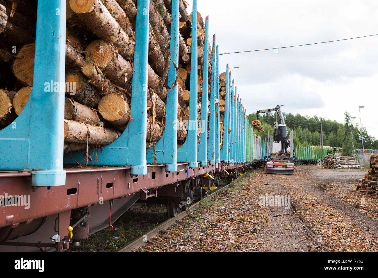 Loading of timber. Loader in work Stock Photo - Alamy