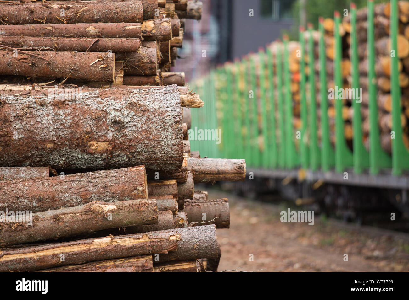 Stock of timber. Loading of timber on railroad cars Stock Photo - Alamy