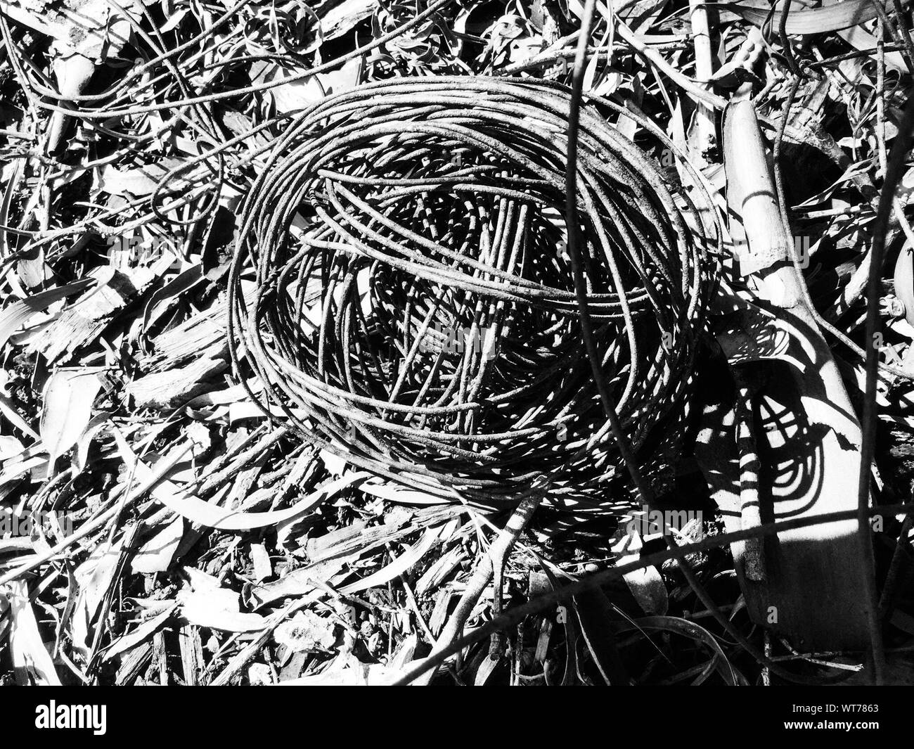 Junk yard hi-res stock photography and images - Alamy