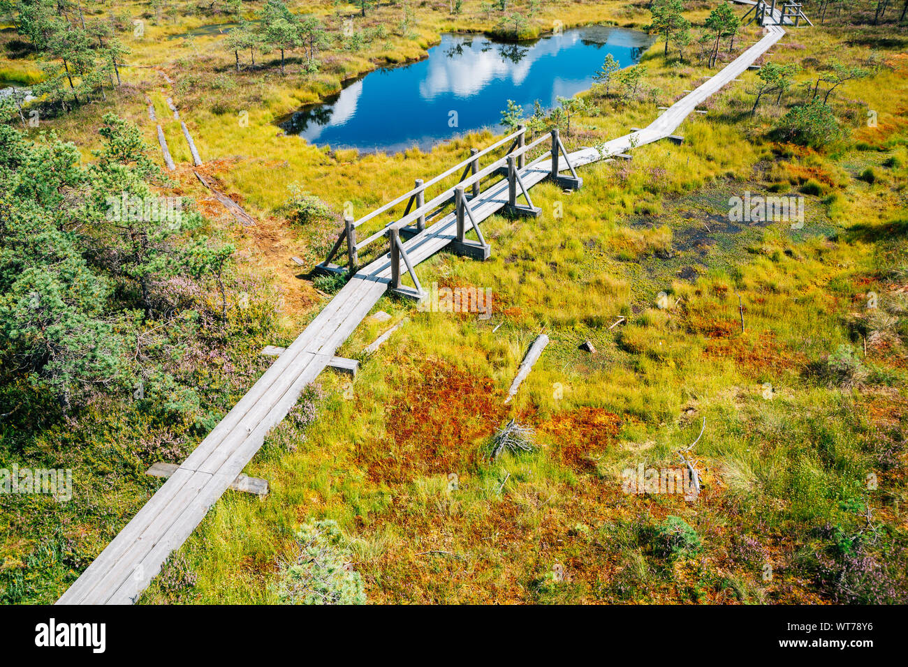Kemeri National Park Bog trail in Latvia Stock Photo - Alamy