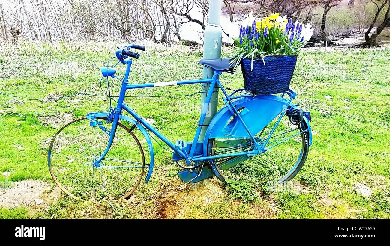 Blue bike hi-res stock photography and images - Alamy