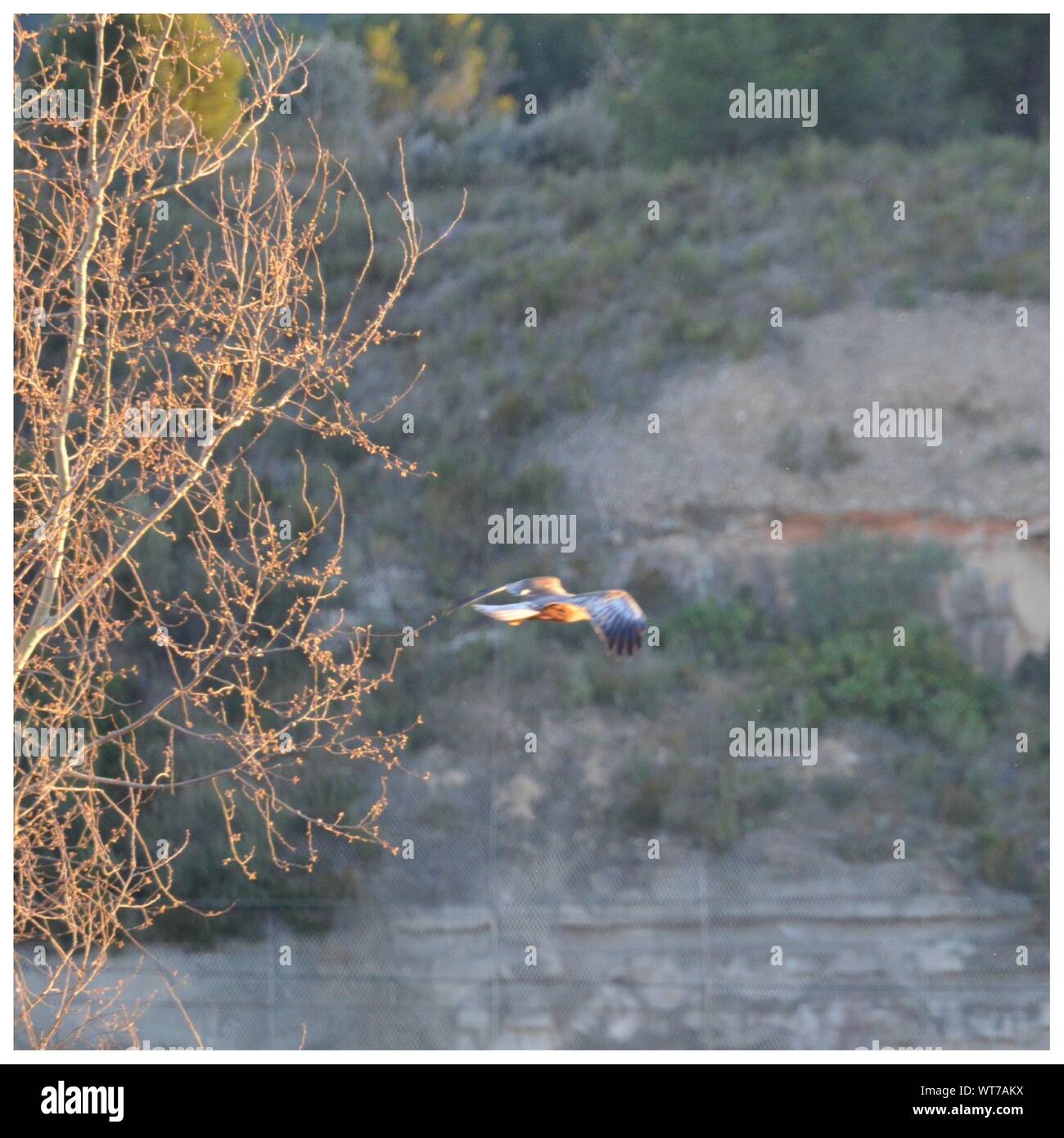 Flying rock hi-res stock photography and images - Alamy