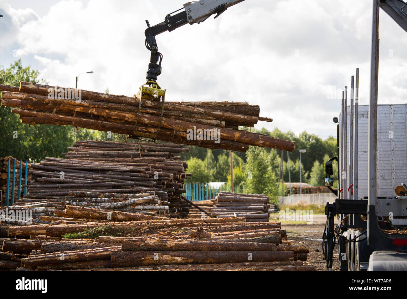 Loading of timber. Loader in work Stock Photo - Alamy