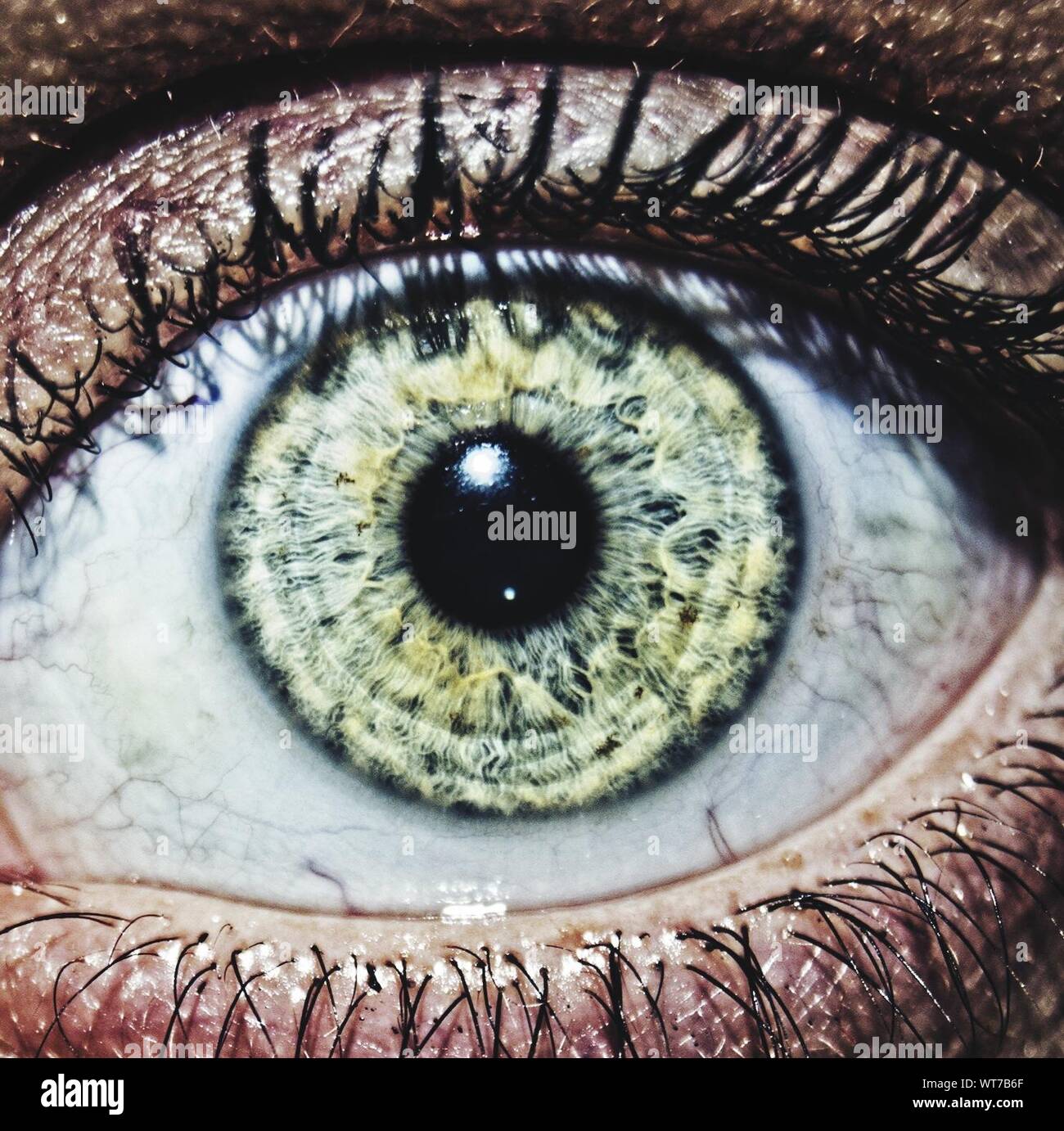 Human eye view hi-res stock photography and images - Alamy