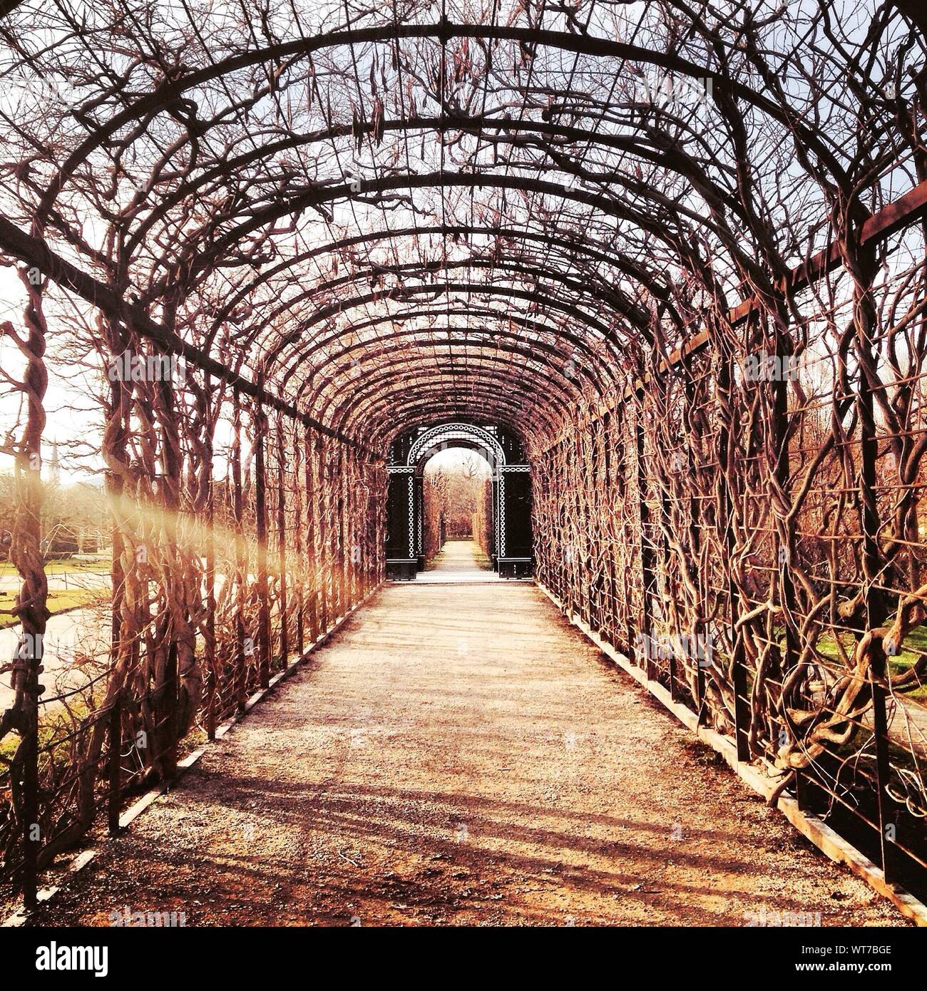 Roots garden hi-res stock photography and images - Alamy