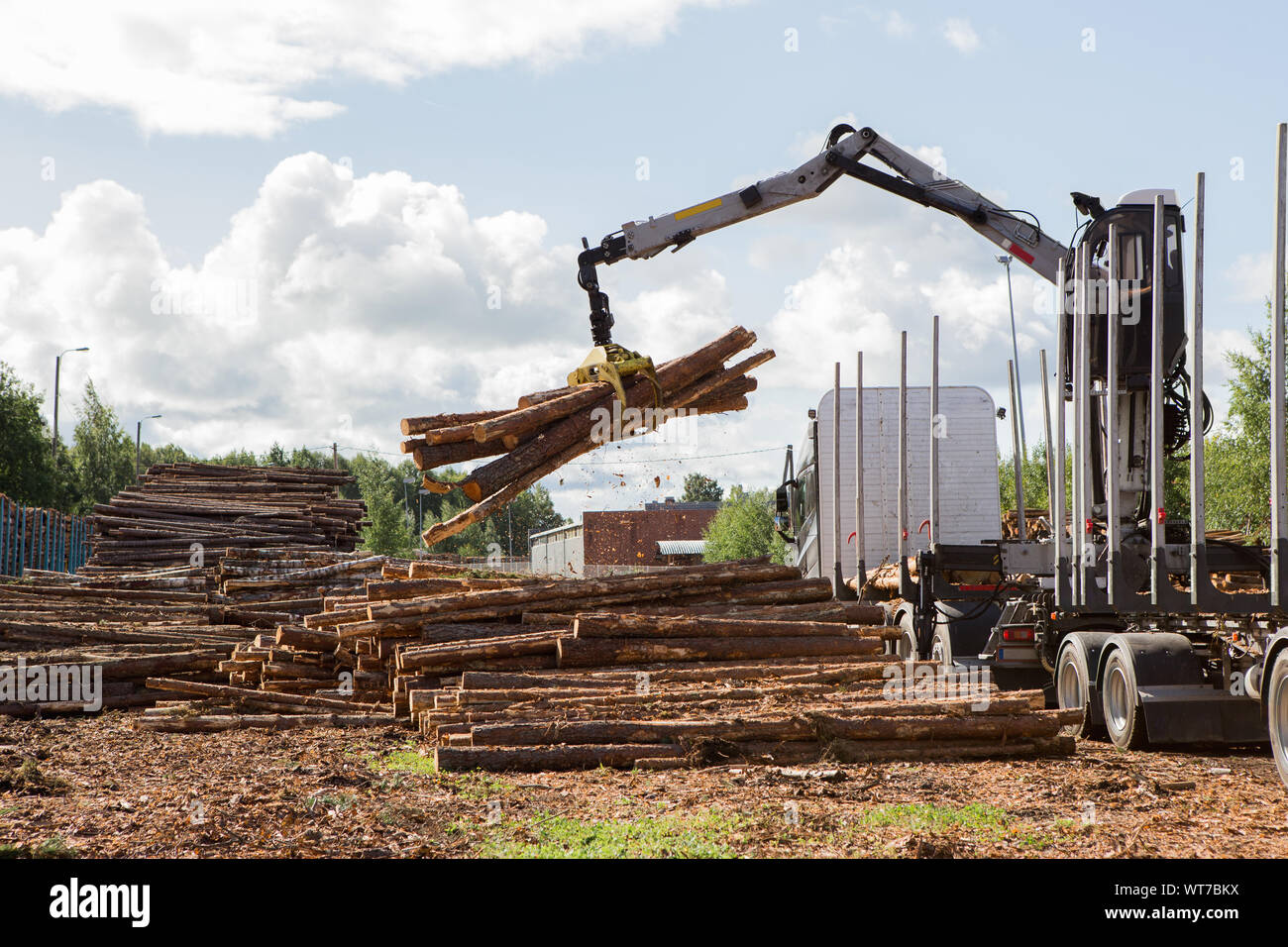 Loading of timber. Loader in work Stock Photo - Alamy