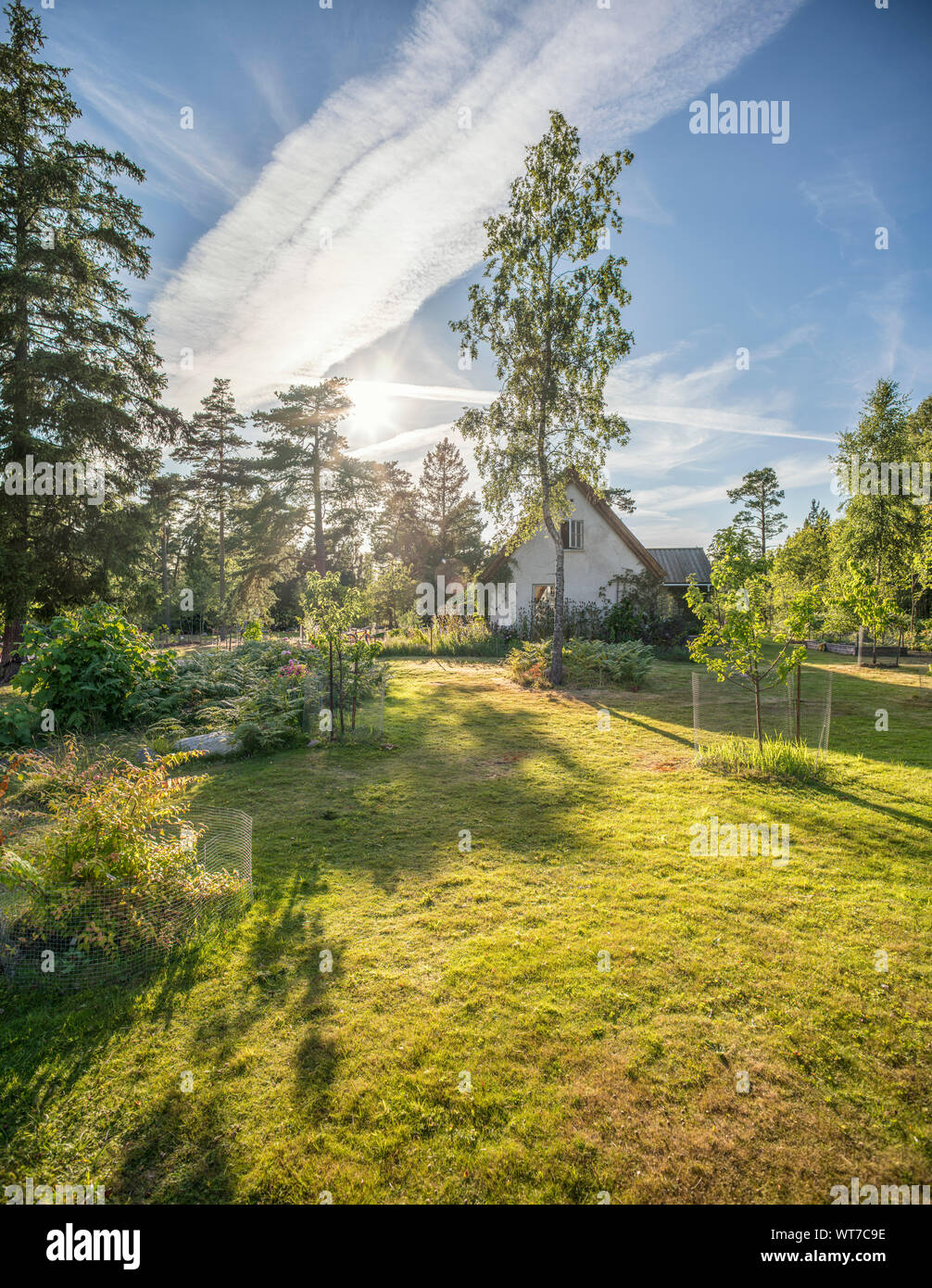 Small cottage and a beautiful garden in a rural landscape. Gotland ...