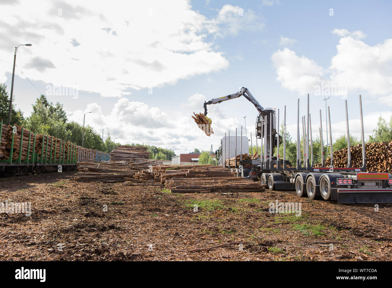 Loading of timber. Loader in work Stock Photo - Alamy