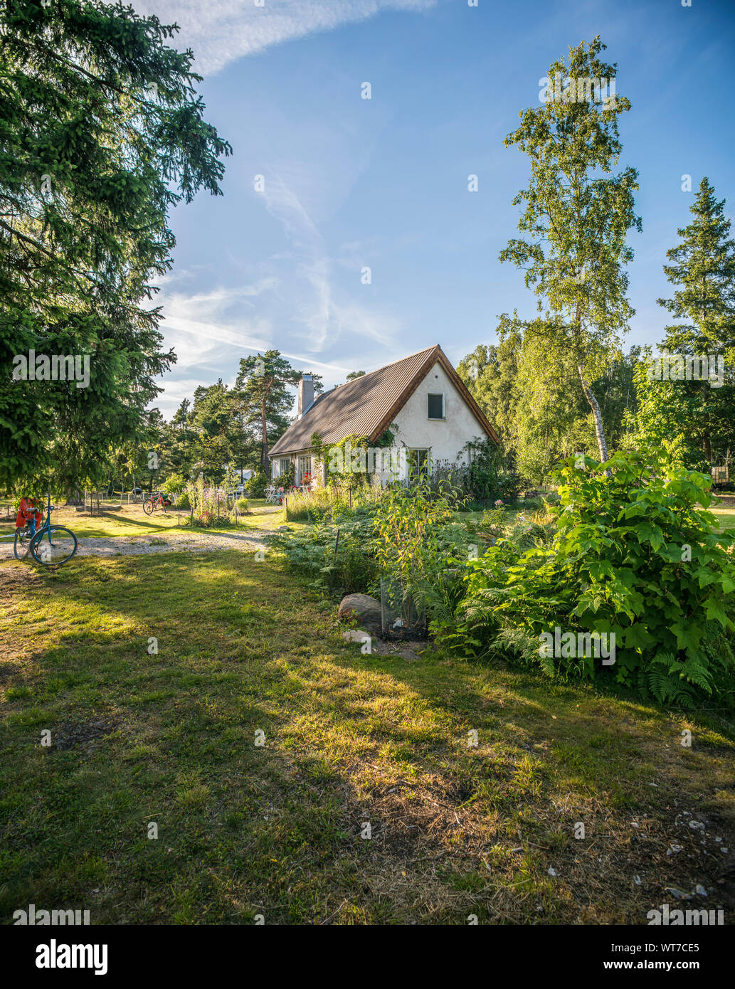 Small cottage and a beautiful garden in a rural landscape. Gotland ...