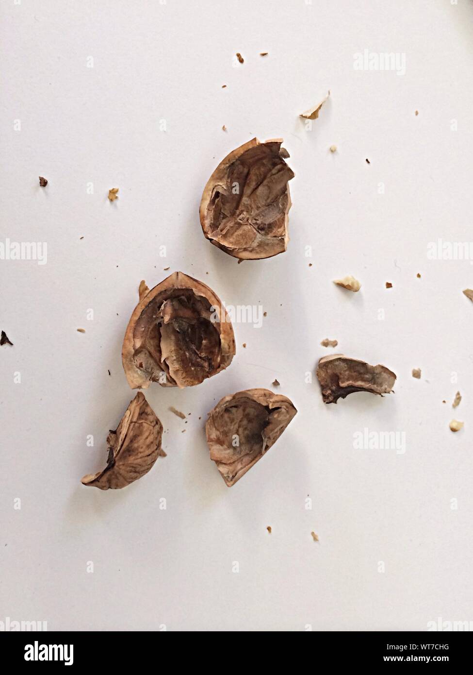 Walnut shell hi-res stock photography and images - Alamy