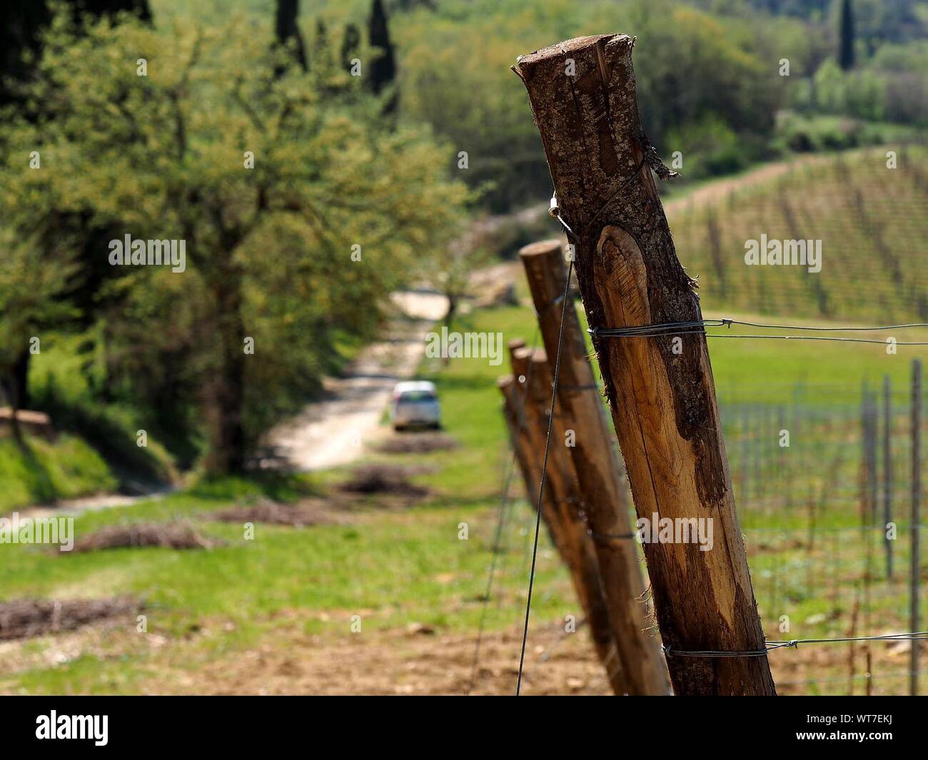 Tree Trunk Fence High Resolution Stock Photography and Images - Alamy