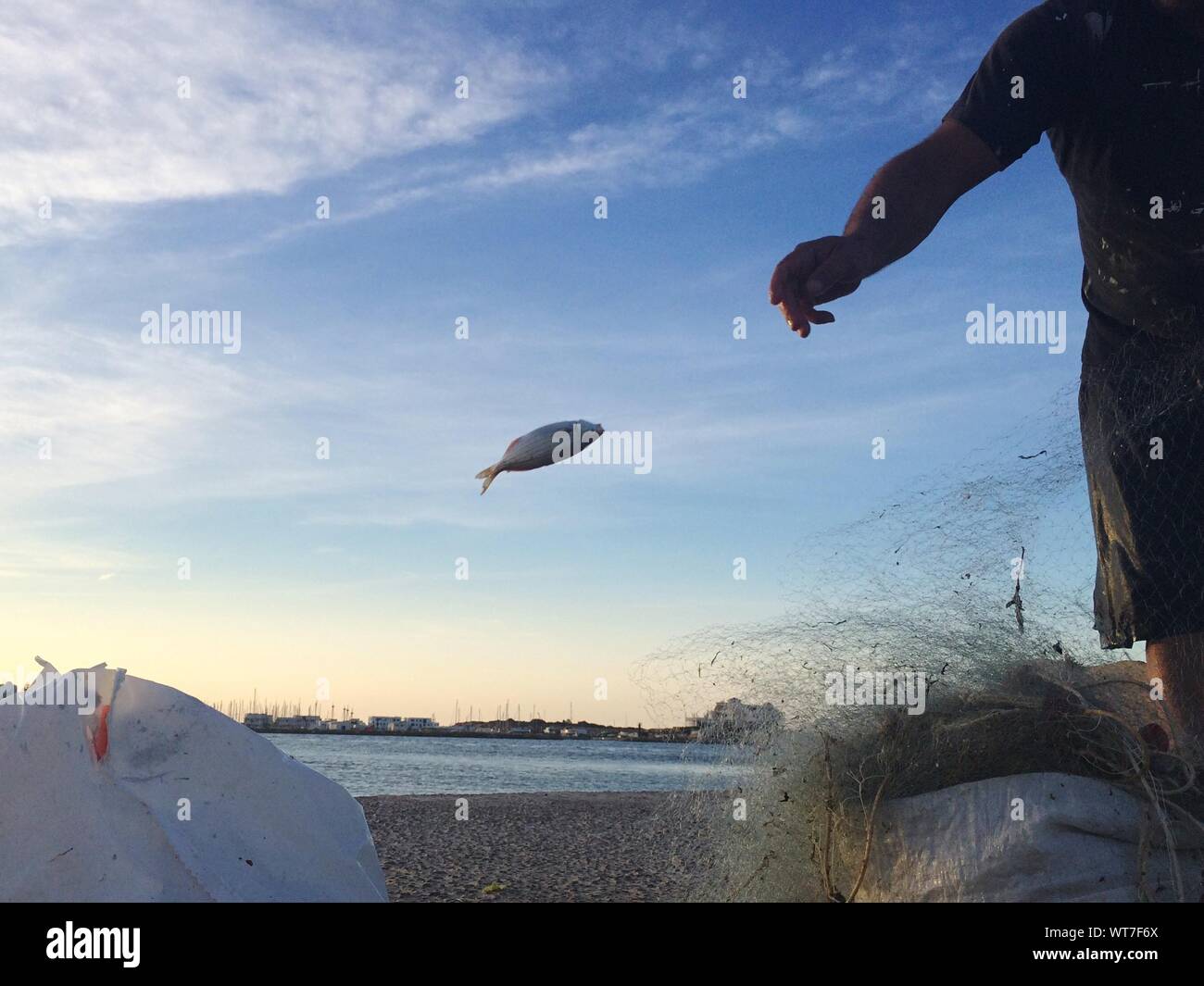 Catch fish hi-res stock photography and images - Alamy