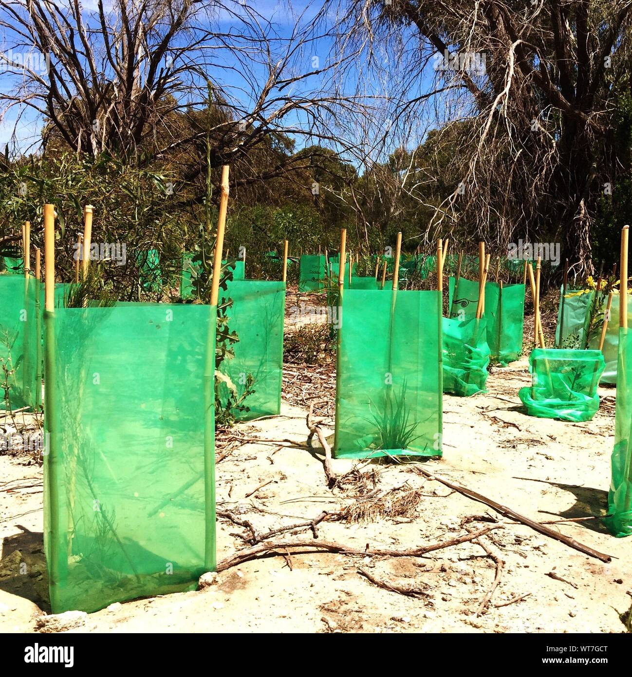 Safety nets hi-res stock photography and images - Alamy