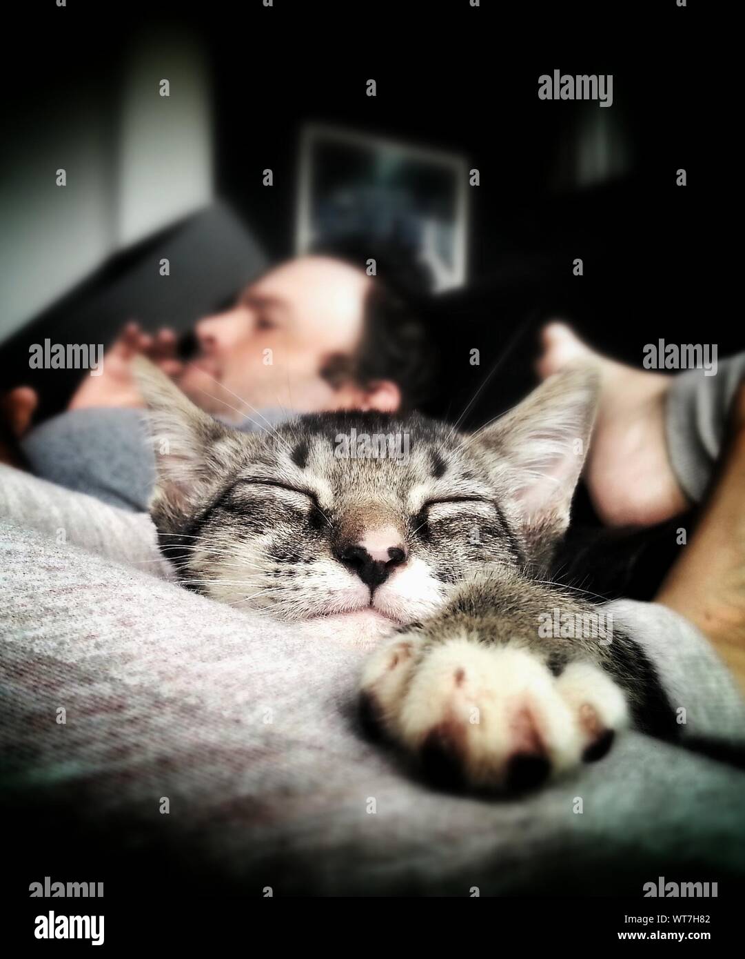 Human rearing hi-res stock photography and images - Alamy