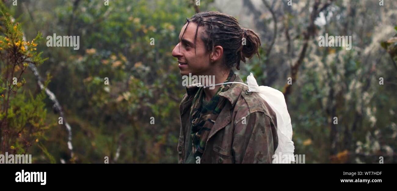 MONOS, Moises Arias, 2019. © Neon / courtesy Everett Collection Stock ...