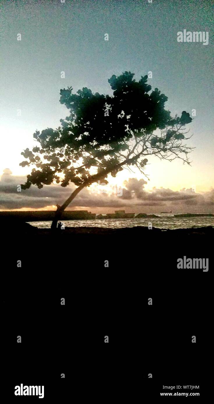 Bent silhouette hi-res stock photography and images - Alamy