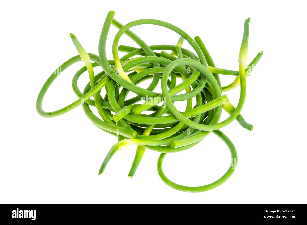 How to grow garlic Cut Out Stock Images & Pictures - Alamy