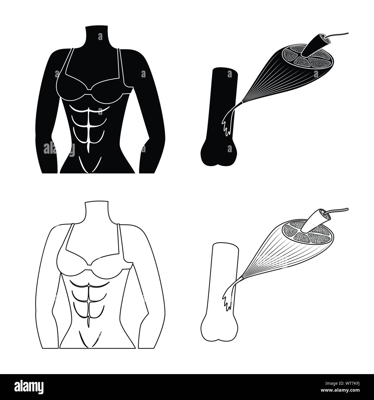 Vector illustration of fiber and muscular logo. Set of fiber and body ...