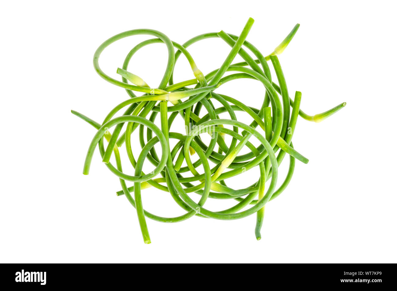 Bunch of green stalks of fresh young garlic. Studio Photo Stock Photo ...
