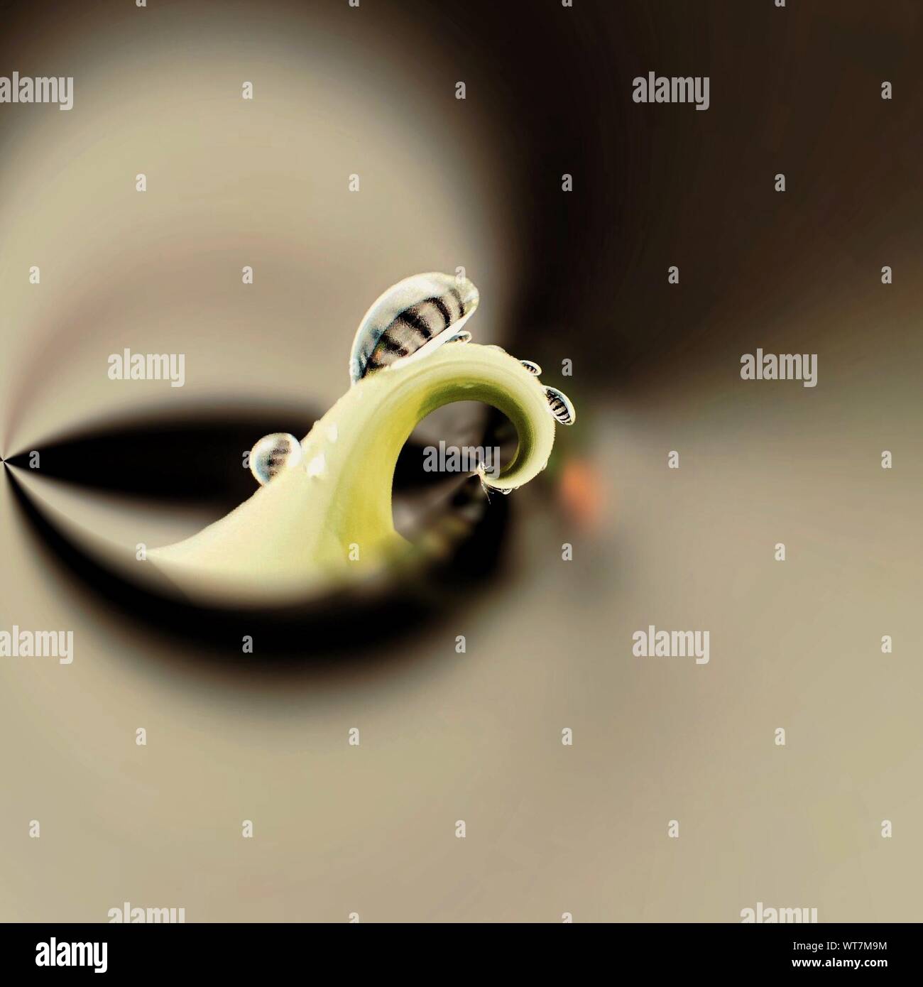 Eye water hi-res stock photography and images - Alamy