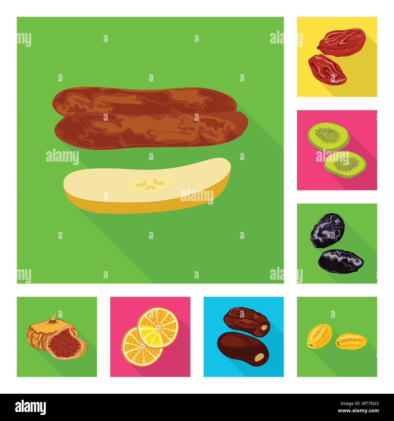 Vector illustration of fruit and dried icon. Collection of fruit and ...