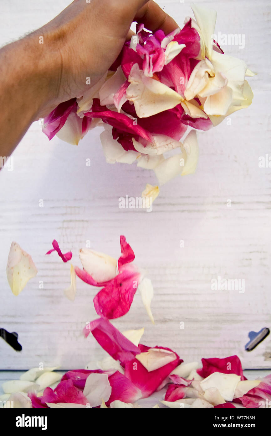 Petal dropping hi-res stock photography and images - Alamy