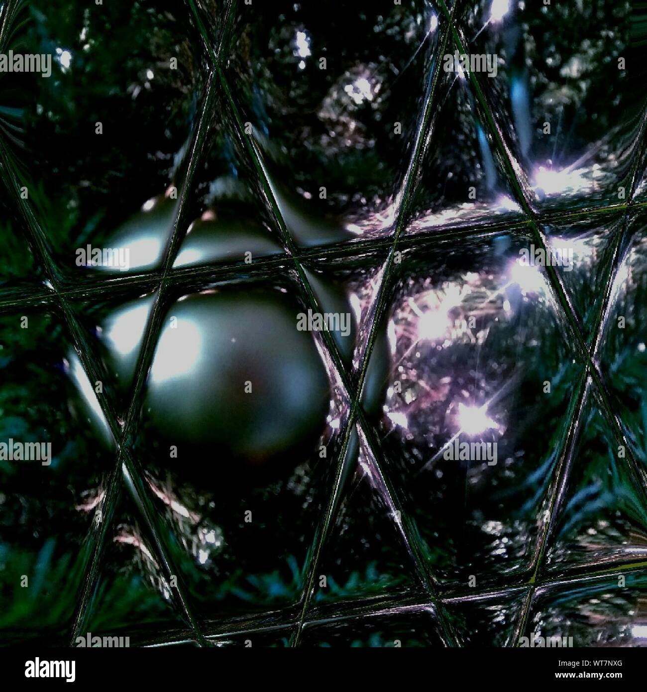 Tree reflection glass hi-res stock photography and images - Alamy