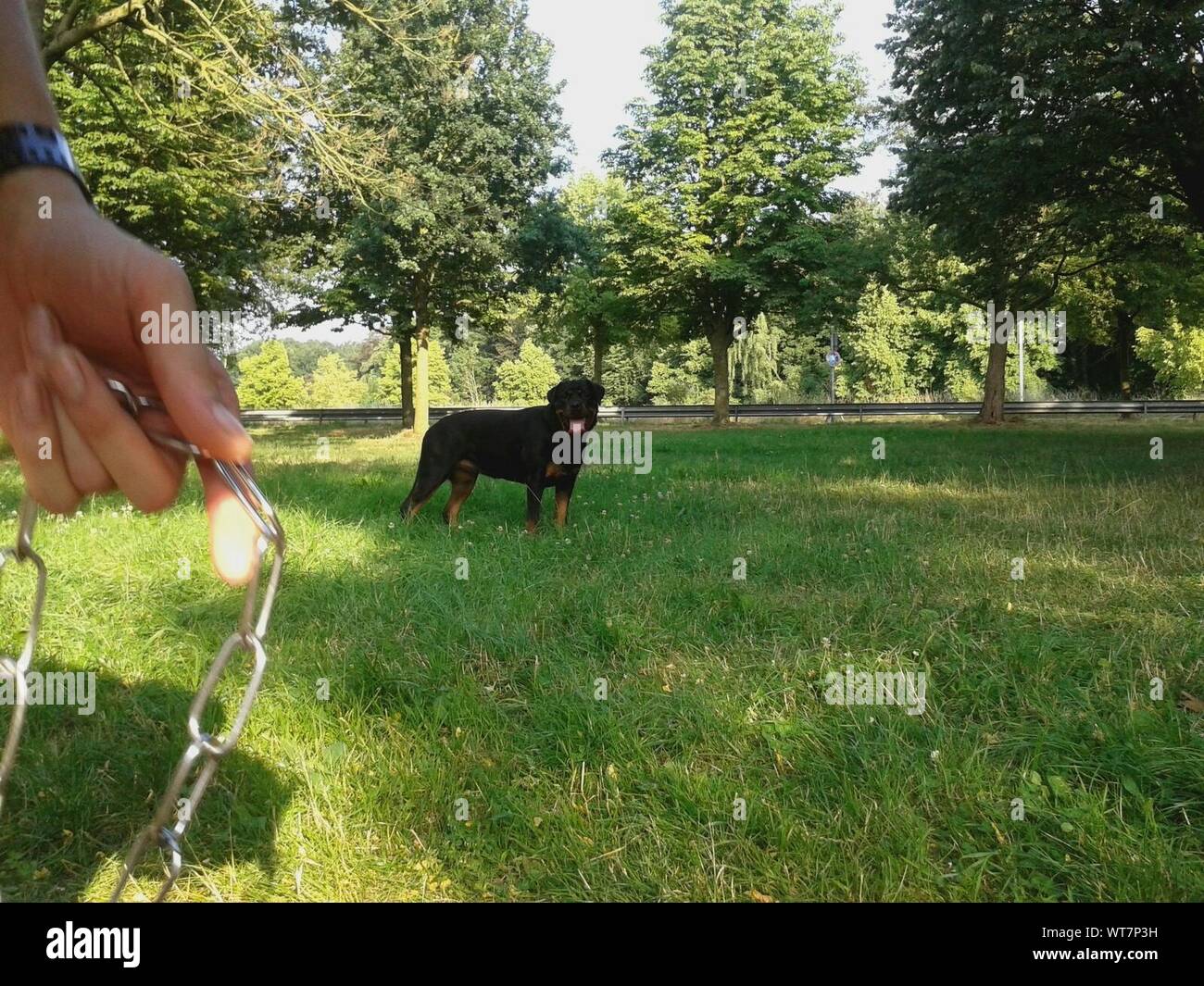 Chain collar hi-res stock photography and images - Alamy