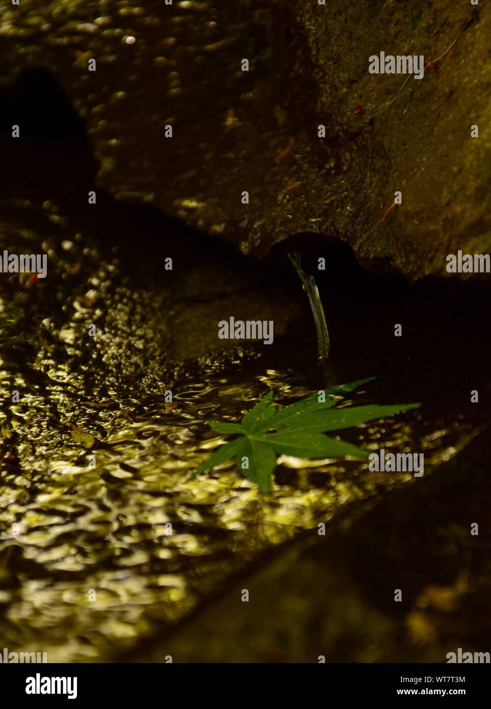 Object floating in water hi-res stock photography and images - Alamy