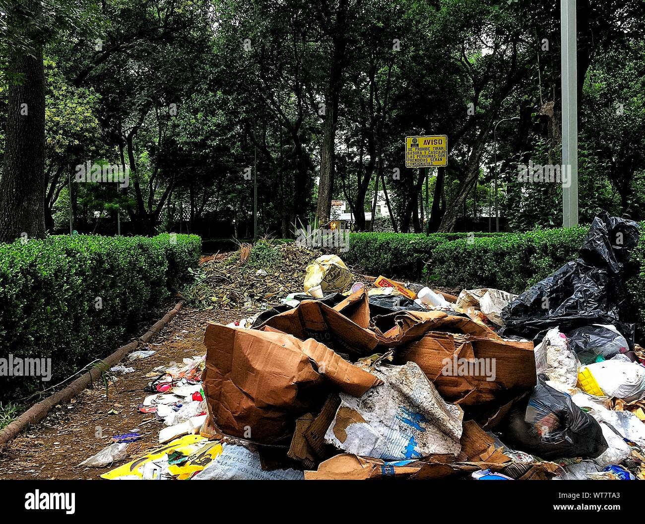 Tree dumped hi-res stock photography and images - Alamy