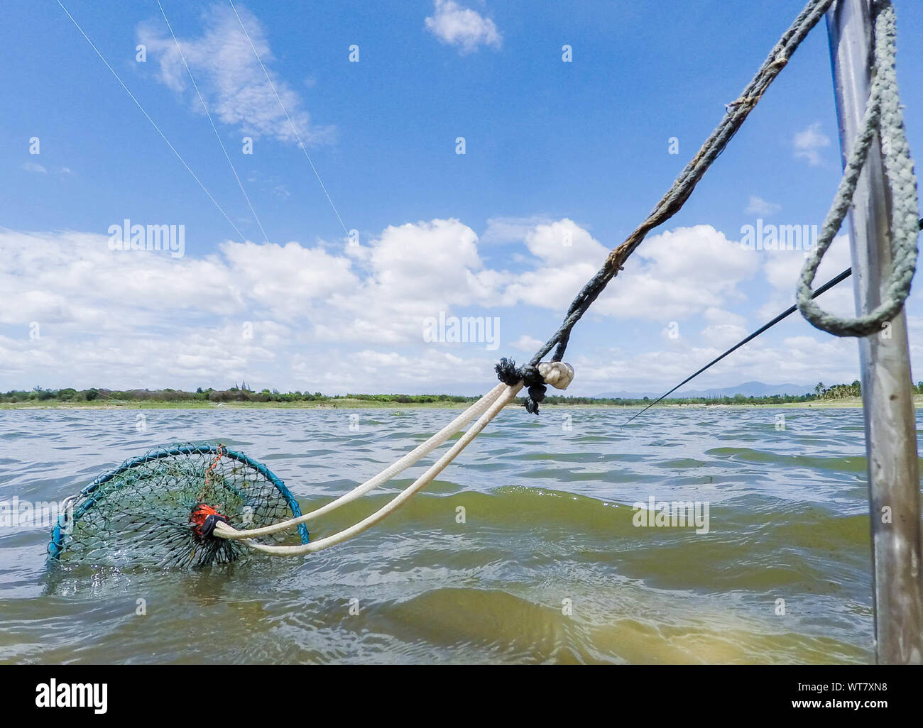 Tied crab hi-res stock photography and images - Alamy