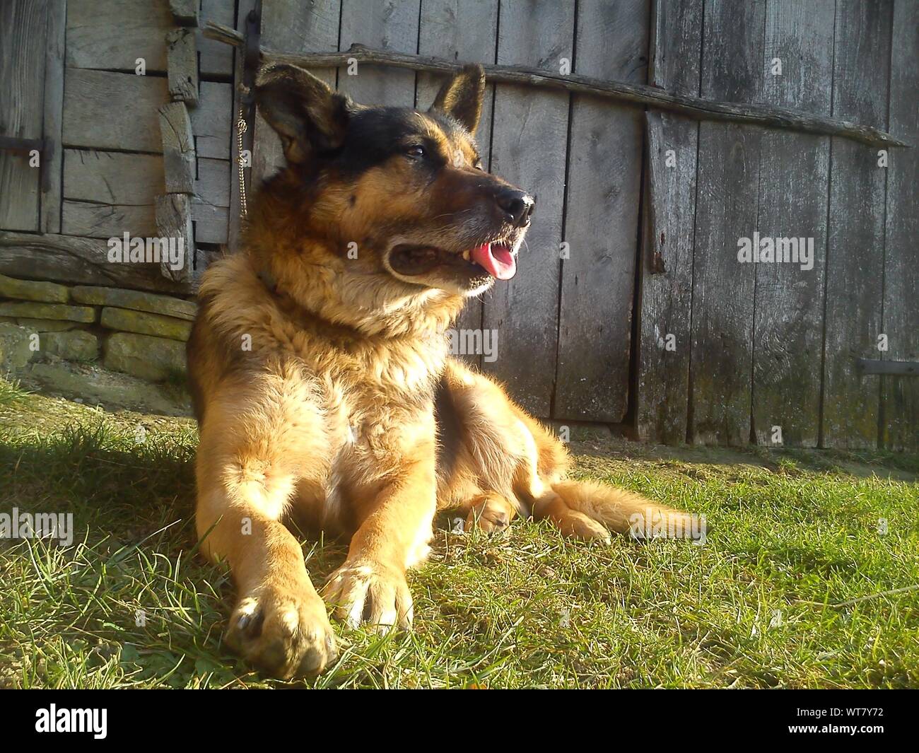 German Barn High Resolution Stock Photography and Images - Alamy