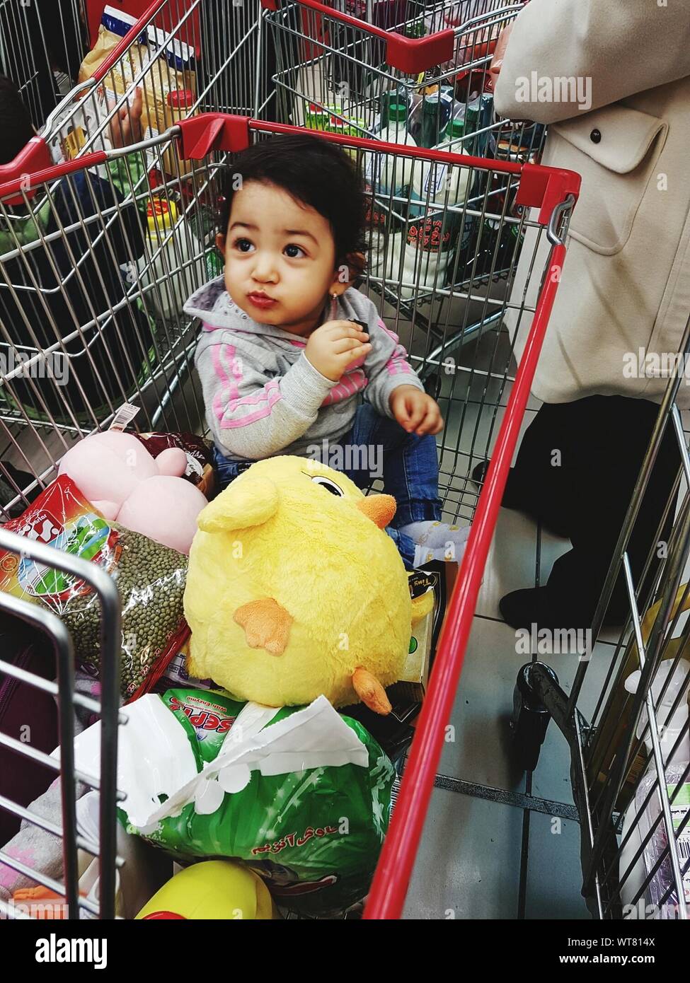 Baby shopping cart hi-res stock photography and images - Alamy