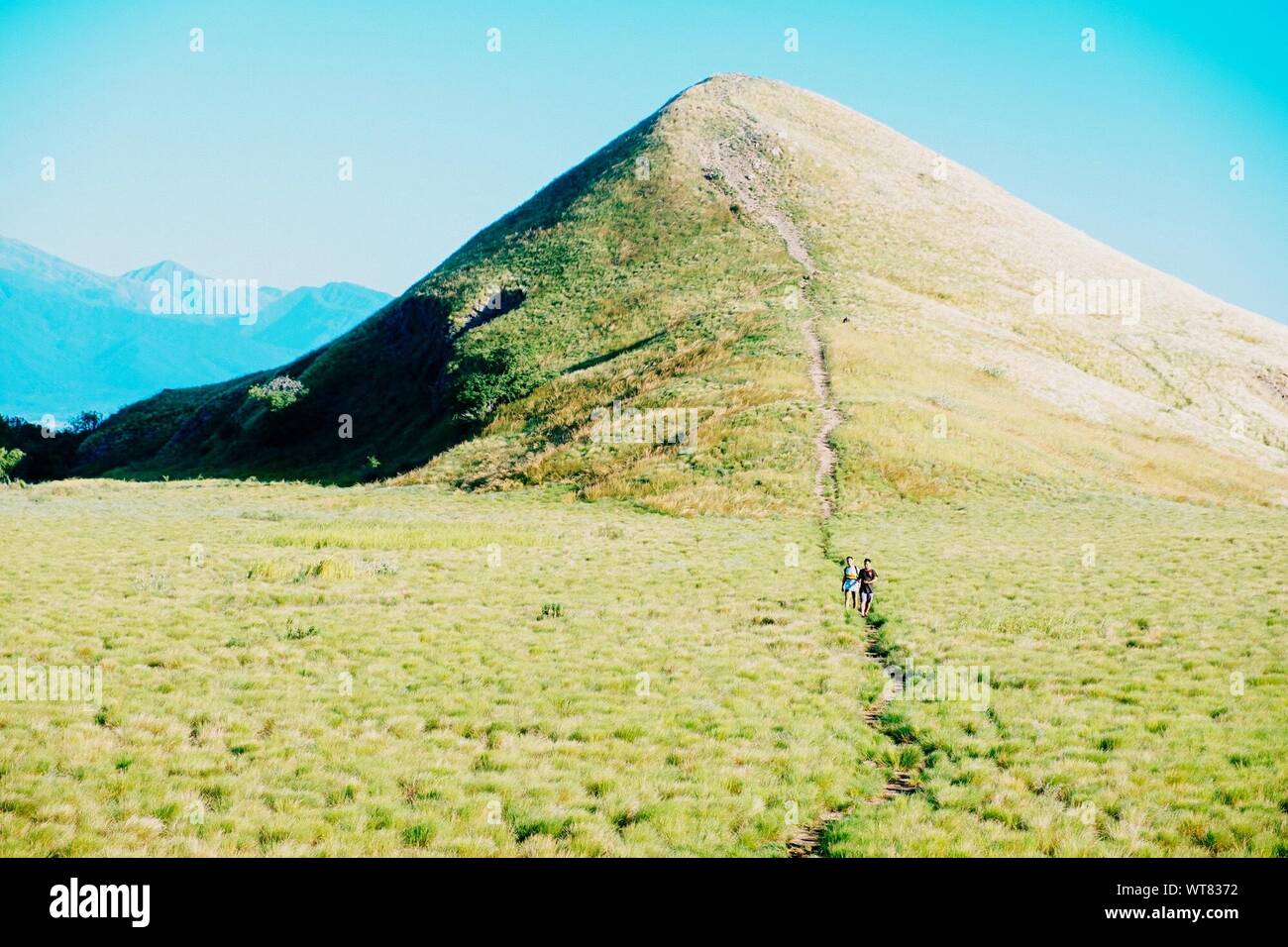 Hillside down hi-res stock photography and images - Alamy