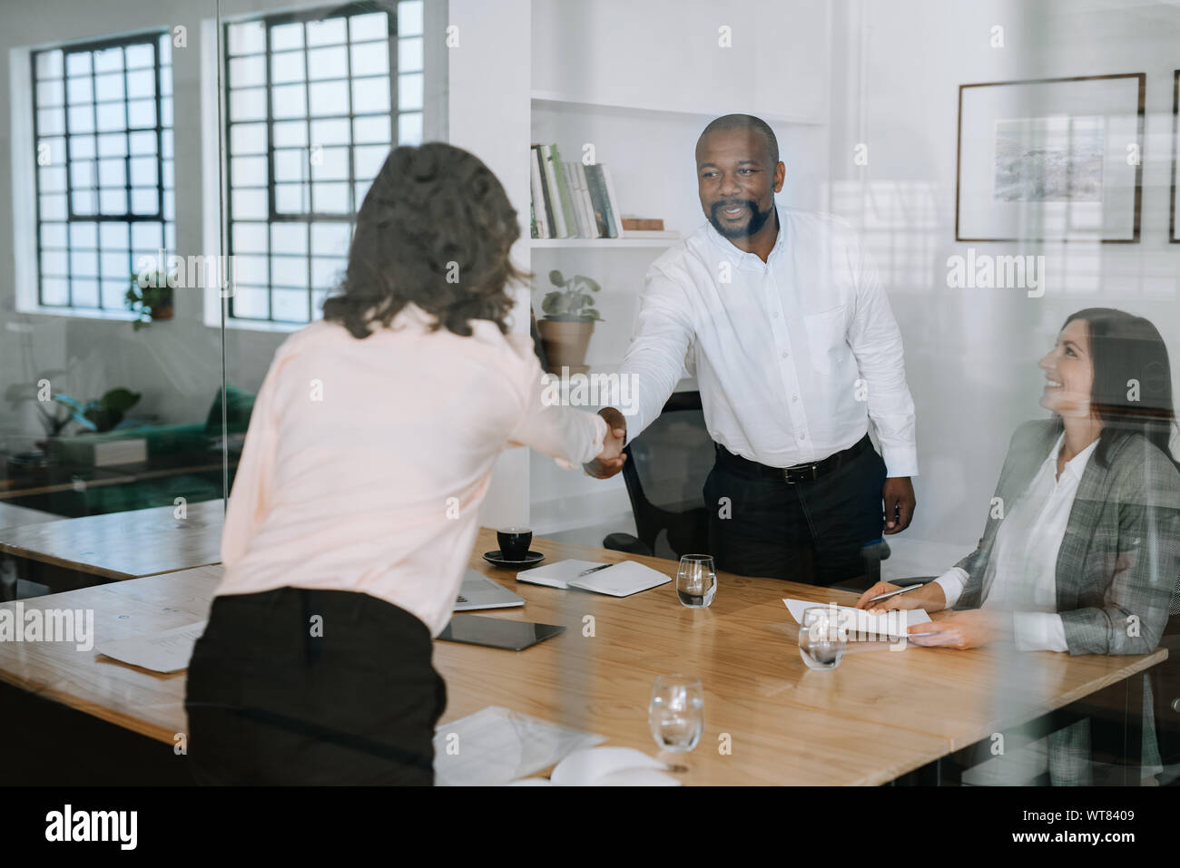 African businessman shaking hands white hi-res stock photography and ...