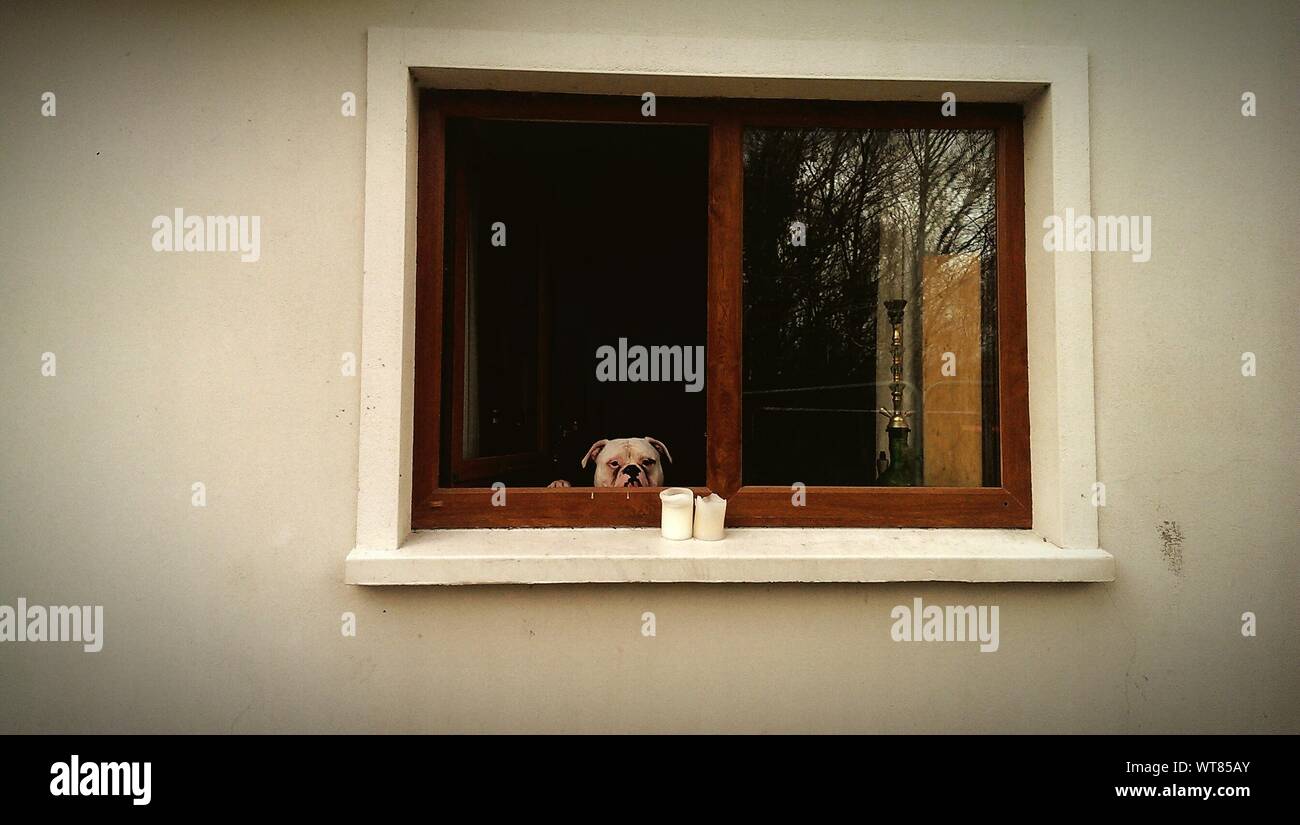 Funny structure hi-res stock photography and images - Alamy