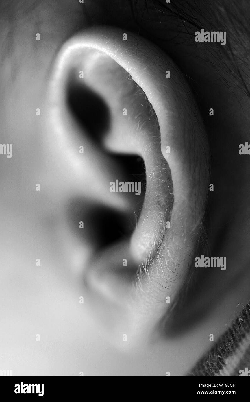 Human ear hi-res stock photography and images - Alamy