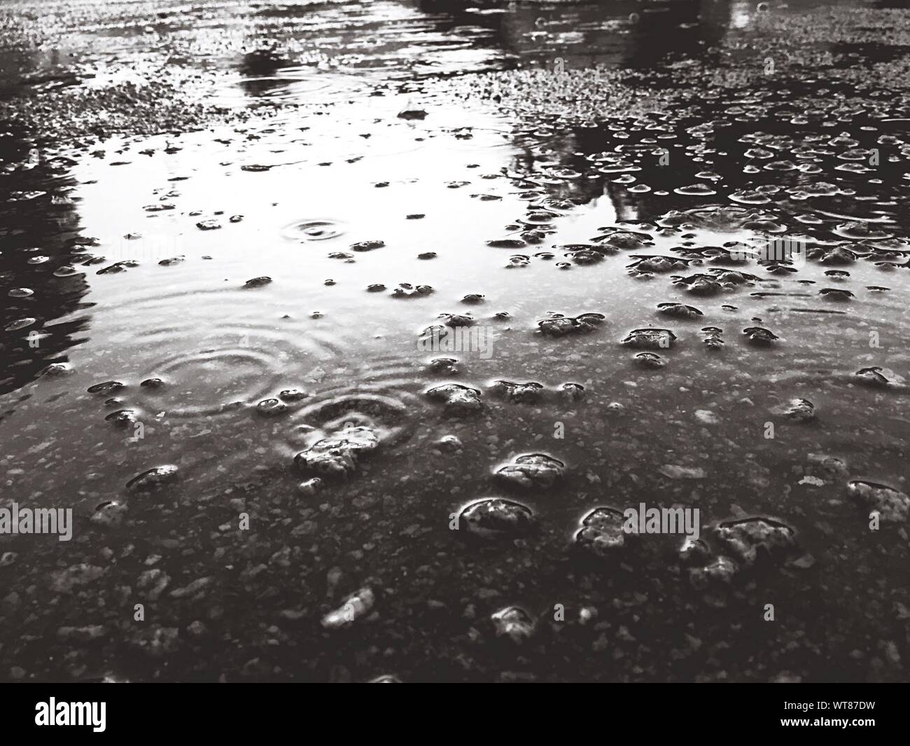 Puddle in the road hi-res stock photography and images - Alamy