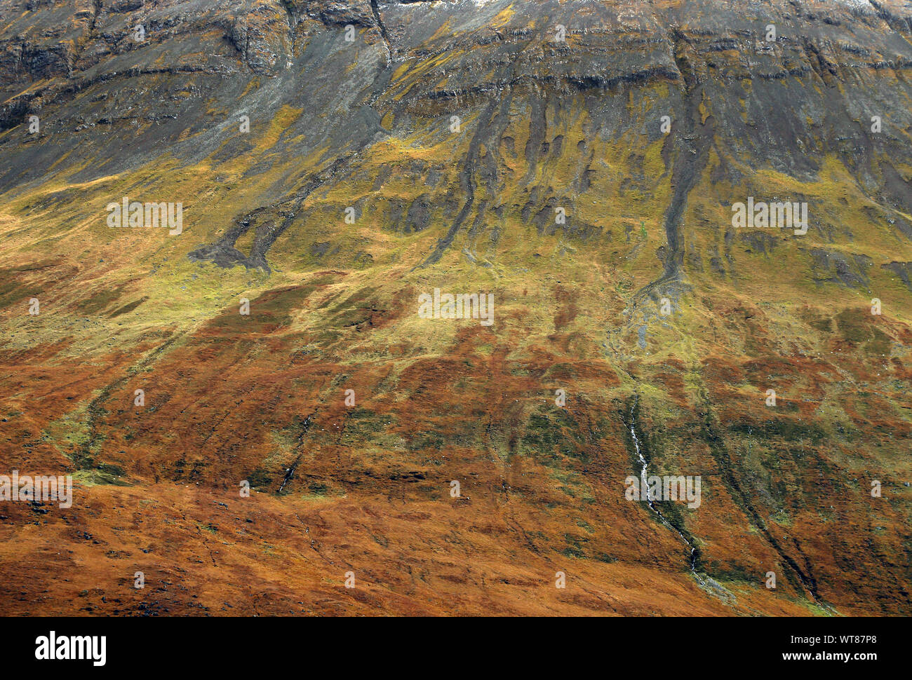 Moss frame hi-res stock photography and images - Alamy