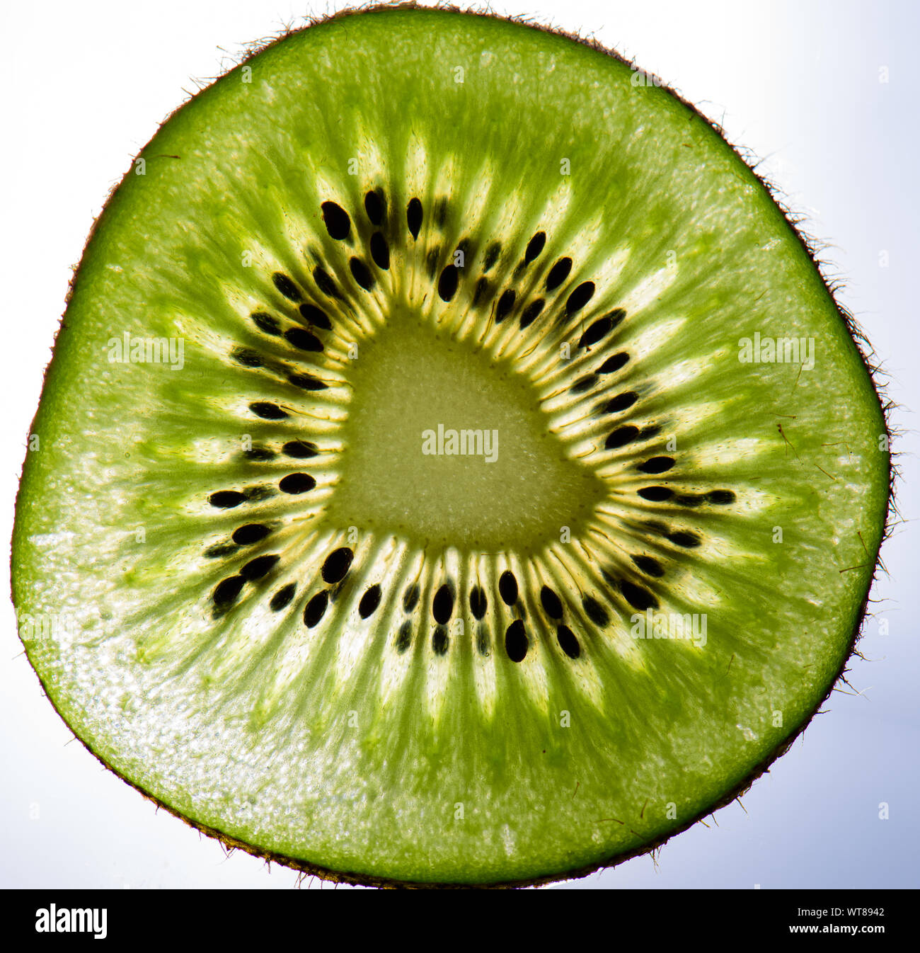 Closeup photograph of a kiwi fruit Stock Photo - Alamy