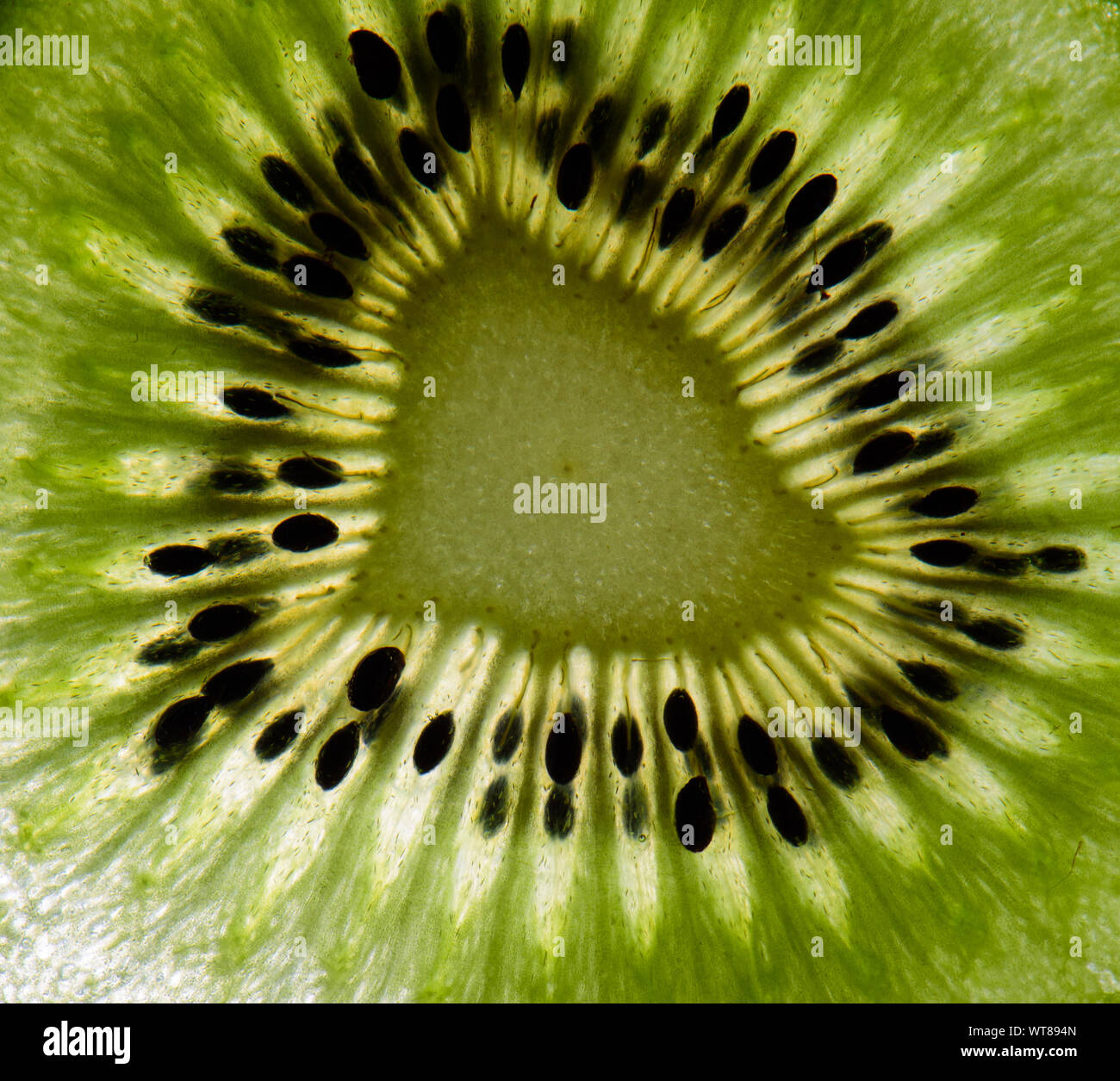 Closeup photograph of a kiwi fruit Stock Photo - Alamy