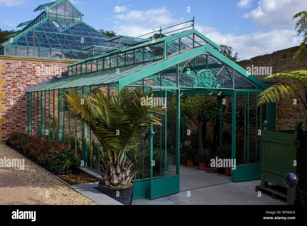 A wonderful restored Victorian glasshouse, at The Newt in Somerset ...