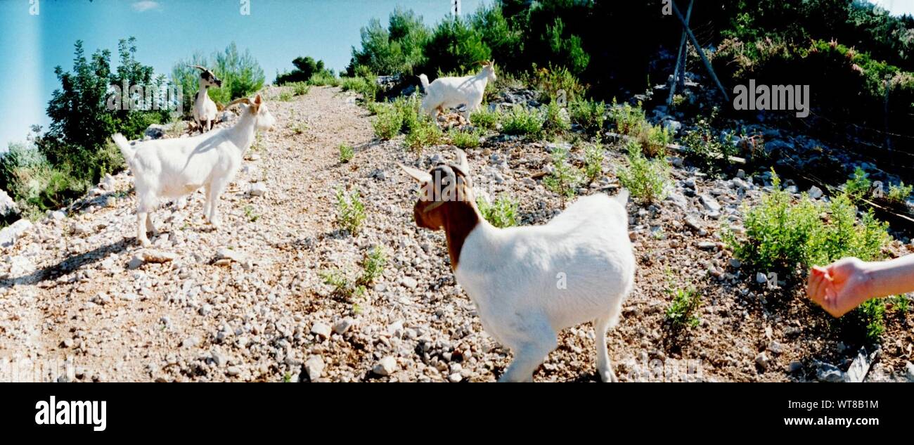 Creamery range hi-res stock photography and images - Alamy